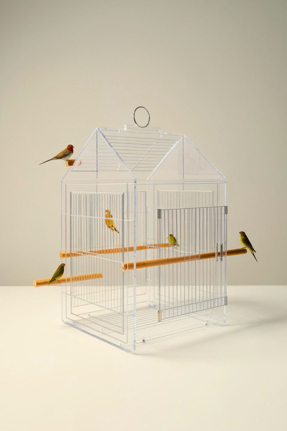 20 Creative DIY Bird Cage Ideas for Indoor and Outdoor Aviaries - Diyer ...