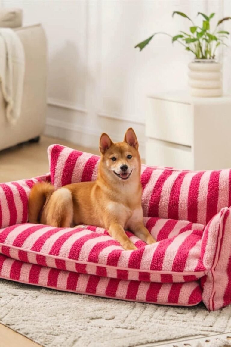 24 Cozy DIY Dog Bed Ideas for Your Pet's Comfort - Diyer Craft
